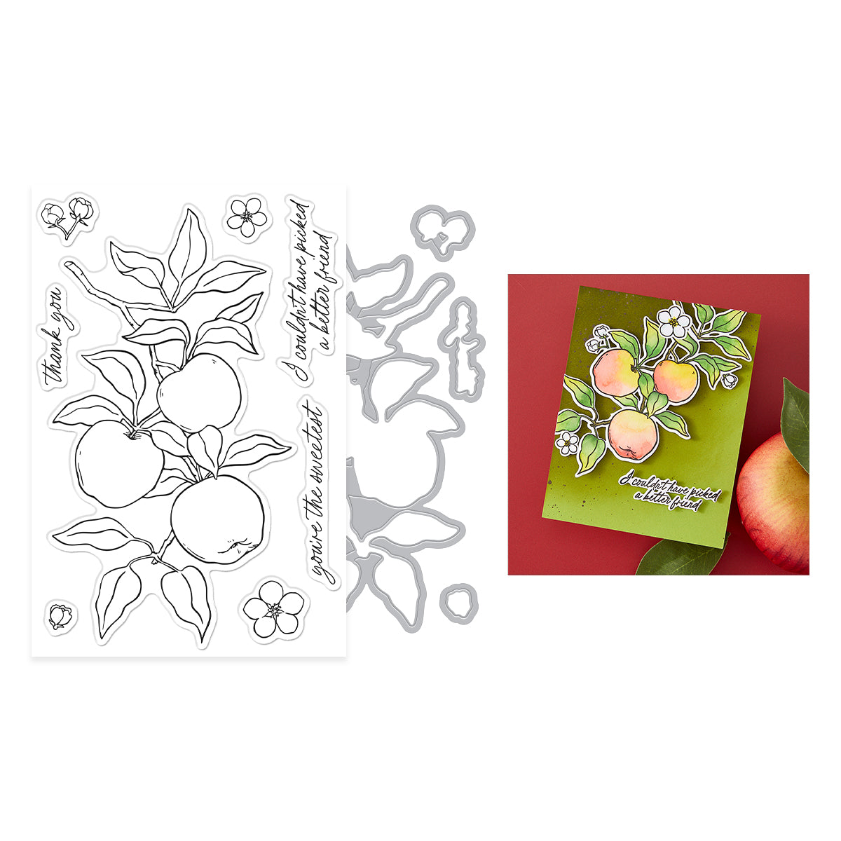 Apple Branch Stamp & Cut Set from the I Pick You Collection ...